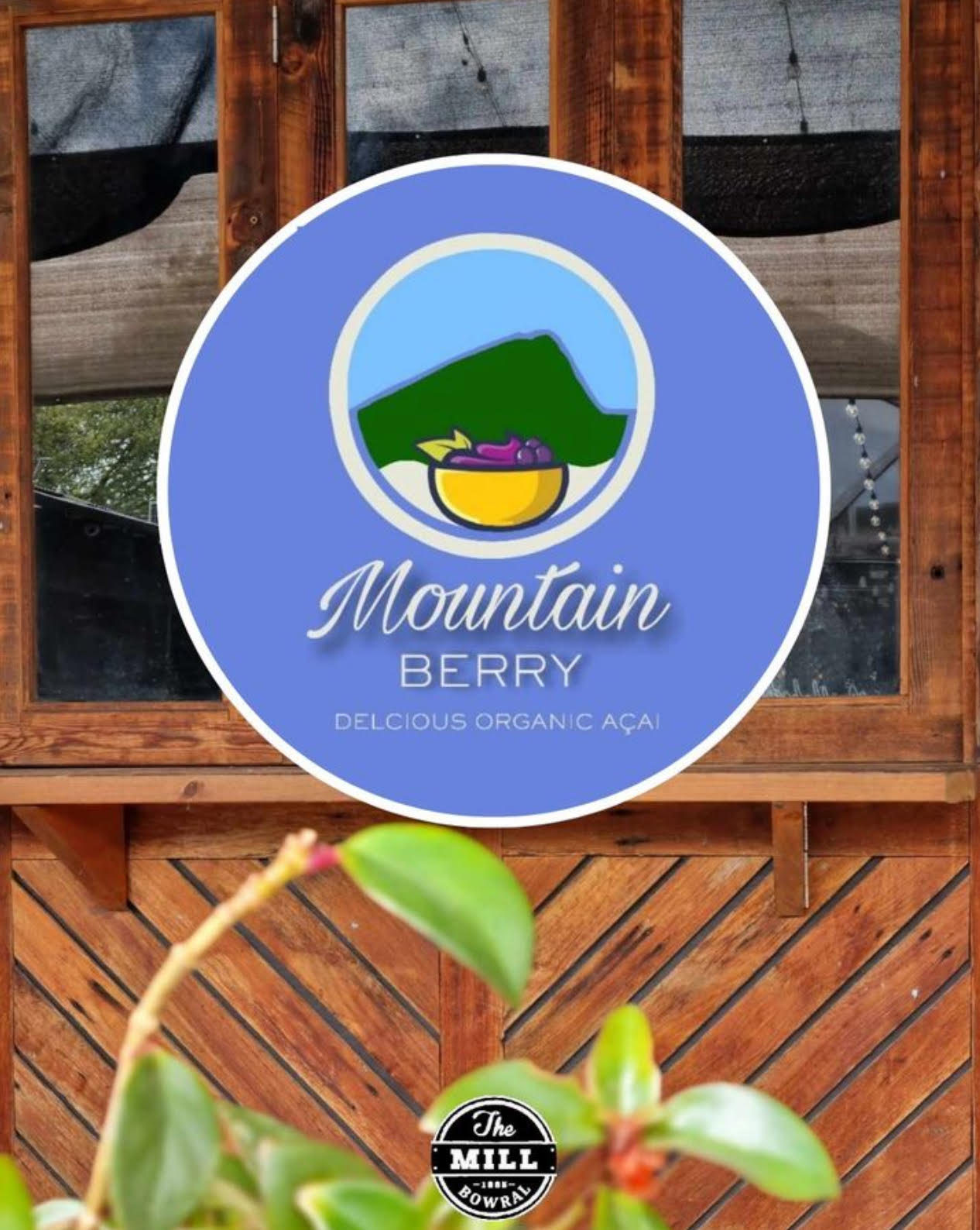 Our menu – mountain berry